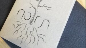 15 Best Scottish Restaurants in Edinburgh - Dining in Style - Cranachan ...